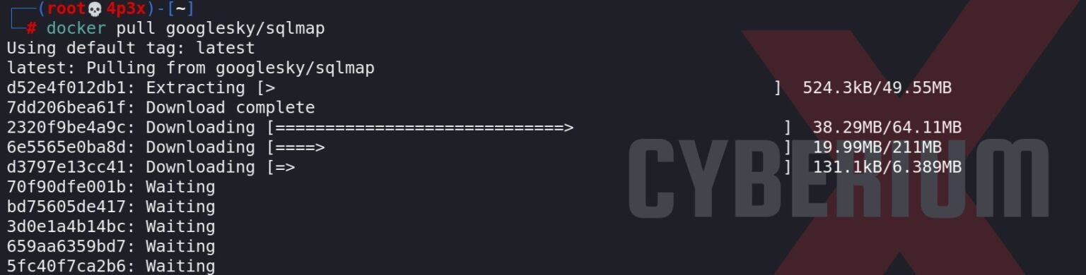 Penetration Testing Using Docker 9815