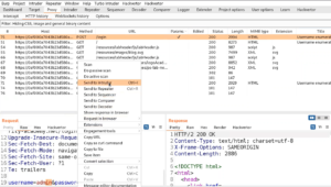Authentication Vulnerability- Password-Based Login