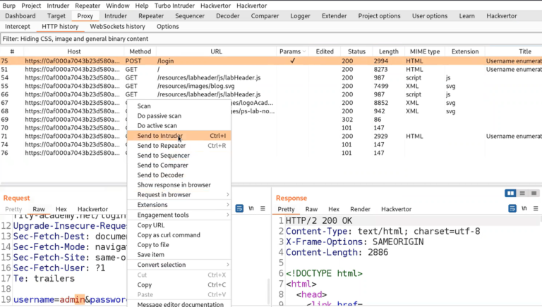 Authentication Vulnerability- Password-Based Login