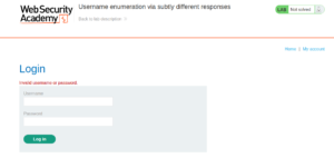 Authentication Vulnerability- Password-Based Login