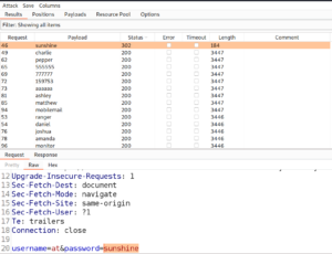 Authentication Vulnerability- Password-Based Login