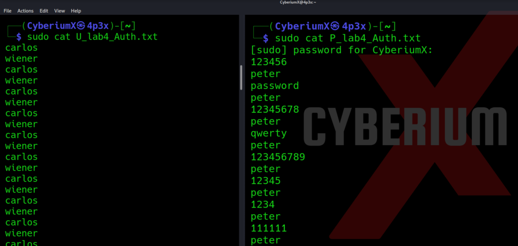 Authentication Vulnerability- Password-Based Login